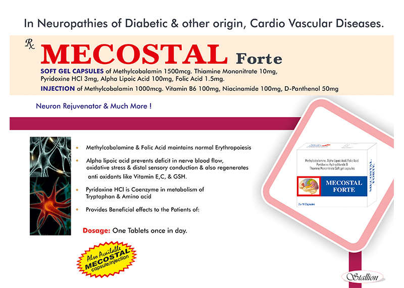 Stallion Laboratories Pvt. Ltd. - Manufacturer of Pharmaceutical ...